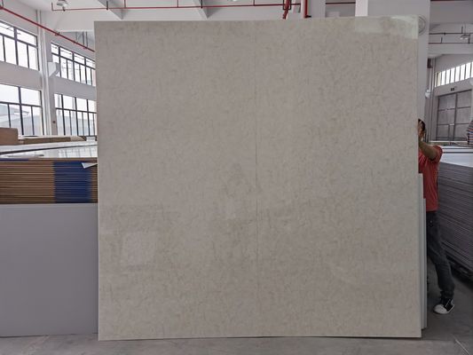 ISO Decorative Plastic Wall Panels Interior ODM With Smooth Surface