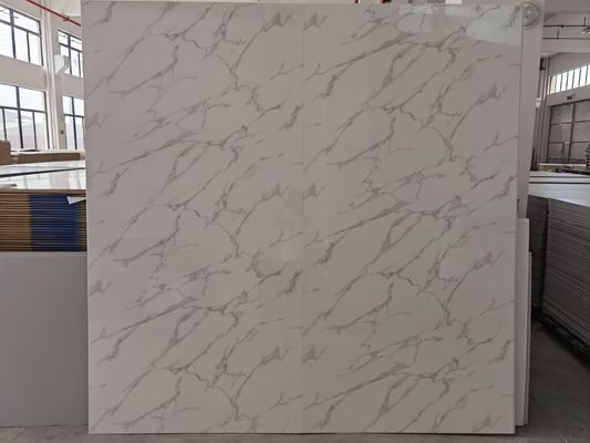 ISO Decorative Plastic Wall Panels Interior ODM With Smooth Surface